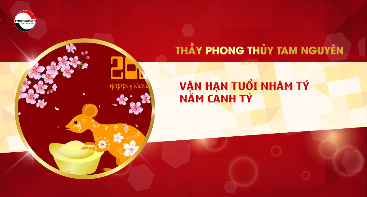 Vận Hạn Tuổi Nhâm Tý - Năm Canh Tý