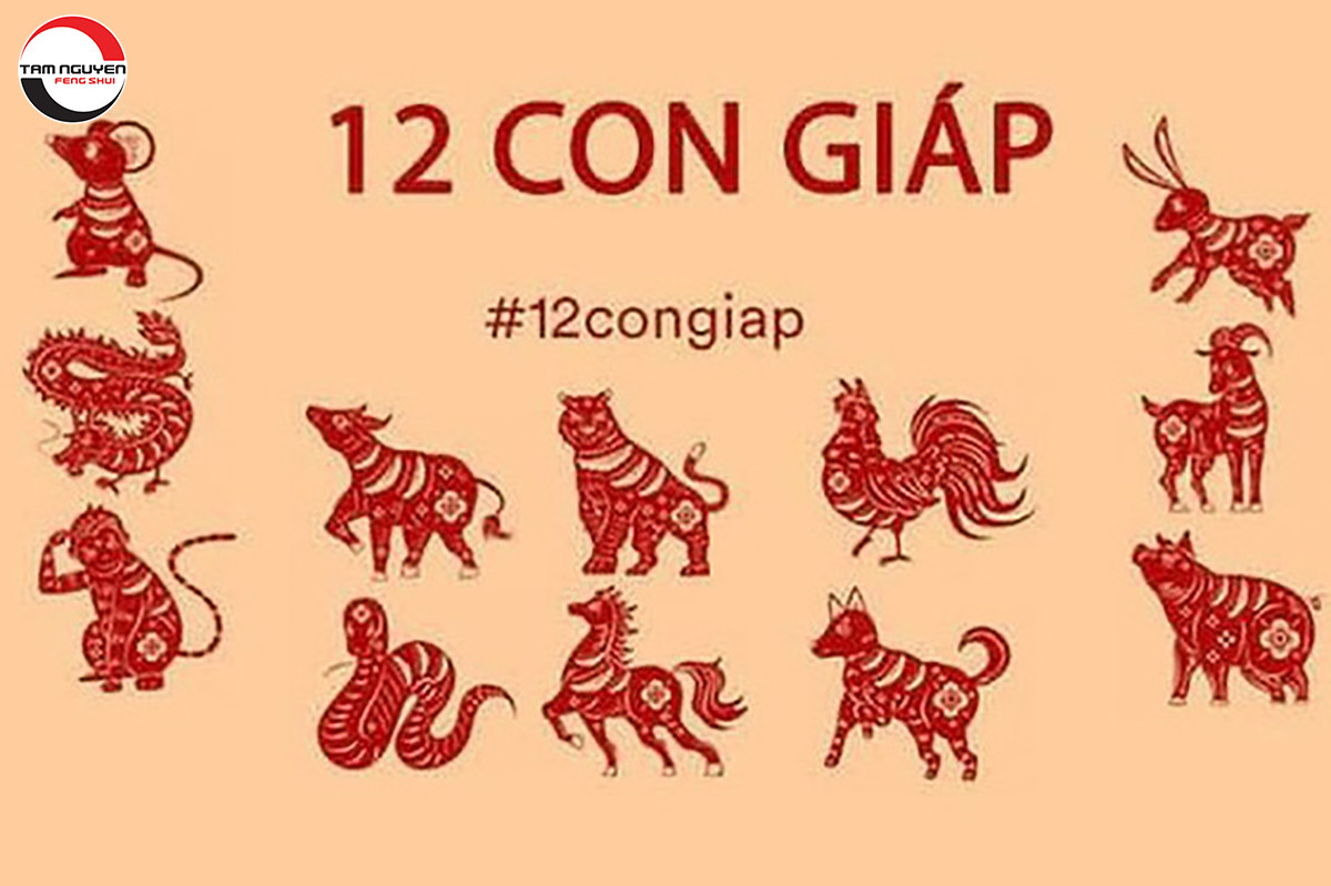 12 Con Giáp Năm 2020 Âm Lịch - Những Tháng Cuối Năm May Hay Rủi?