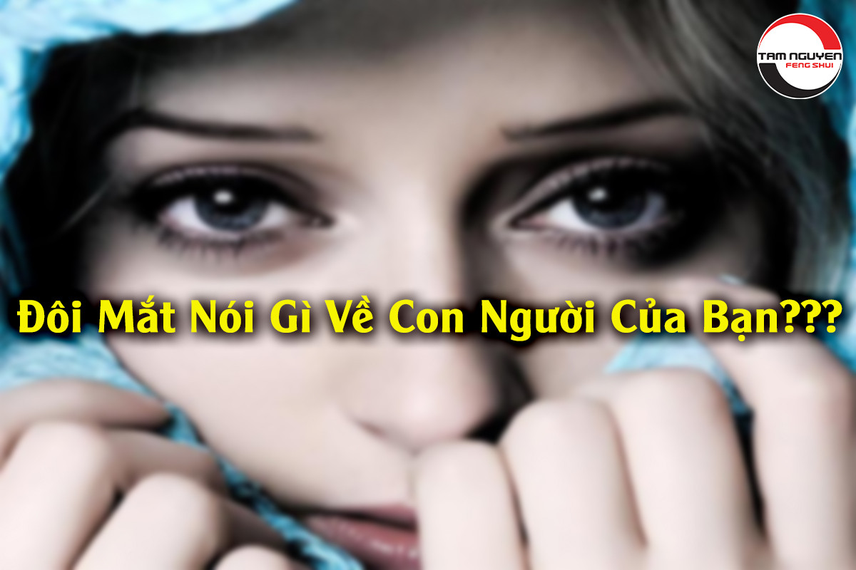 36 LOẠI MẮT ĐIỂN HÌNH (PHẦN 3)