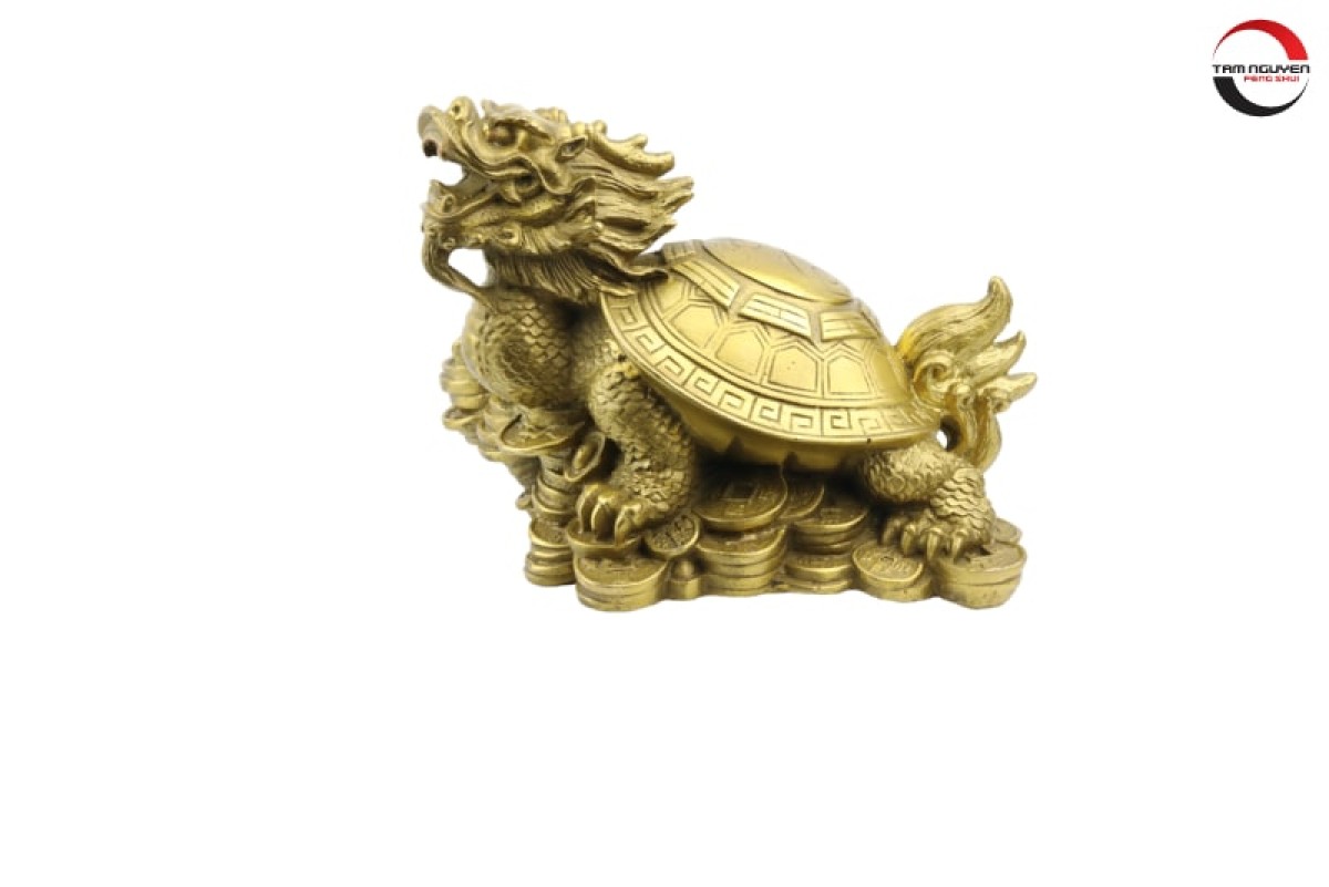 Ý nghĩa Long Quy nhỏ và cách đặt tượng đúng phong thủy