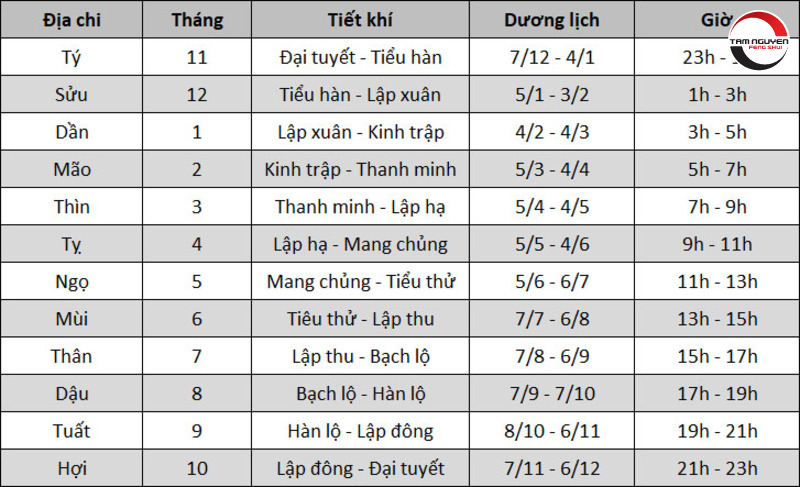 Địa Chi là gì? Ý nghĩa của 12 Địa Chi và mối quan hệ xung hợp