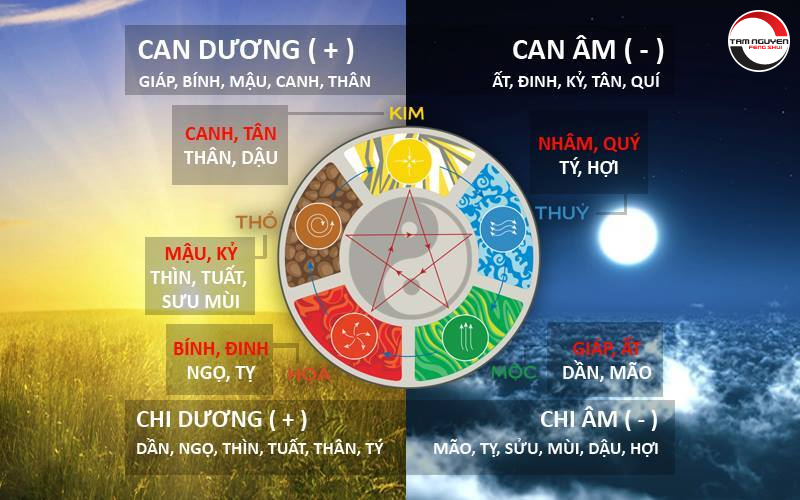 Địa Chi là gì? Ý nghĩa của 12 Địa Chi và mối quan hệ xung hợp