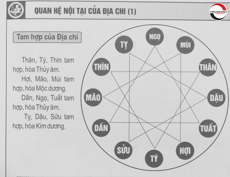Địa Chi là gì? Ý nghĩa của 12 Địa Chi và mối quan hệ xung hợp