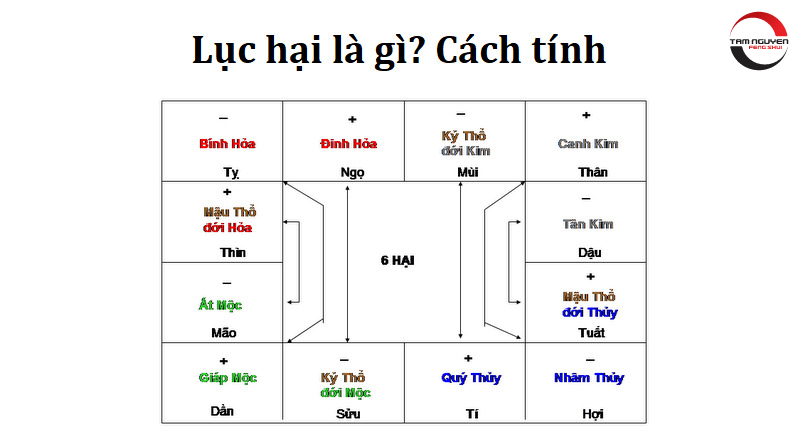 Địa Chi là gì? Ý nghĩa của 12 Địa Chi và mối quan hệ xung hợp
